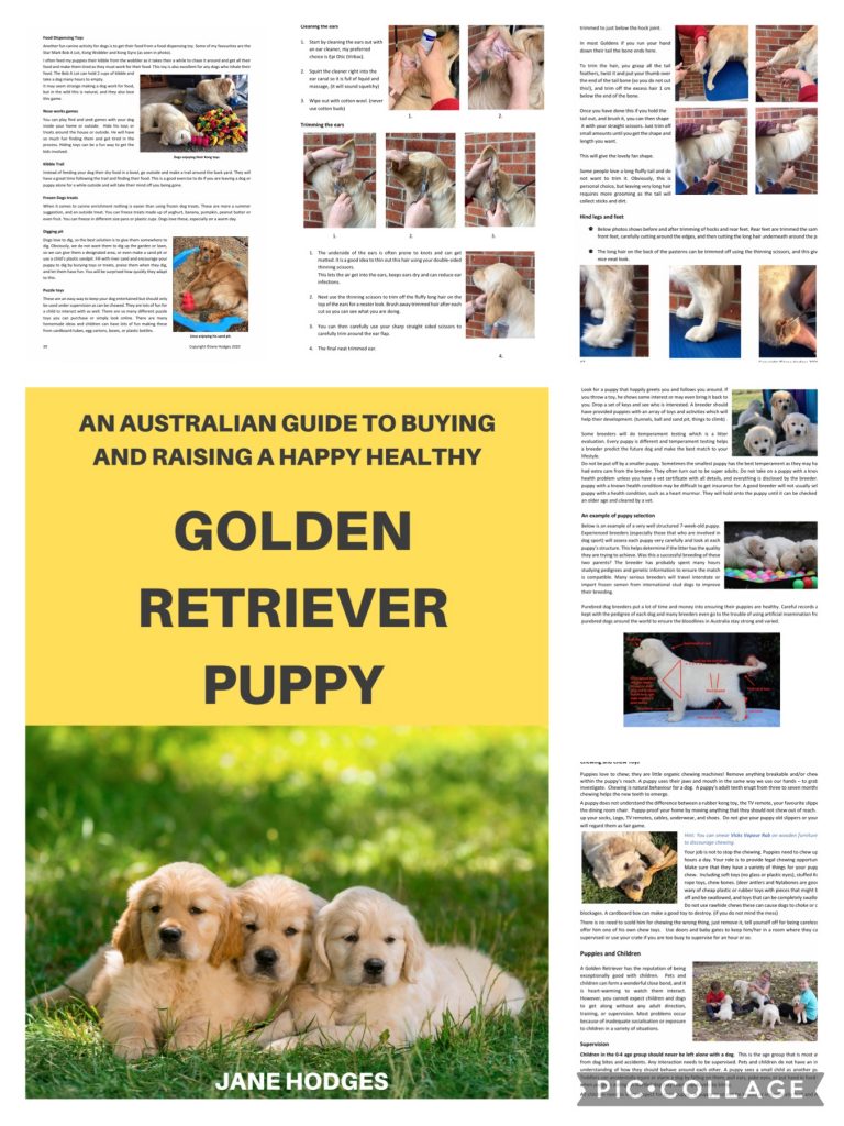 PUPPY BOOK – Camuka Golden Retrievers